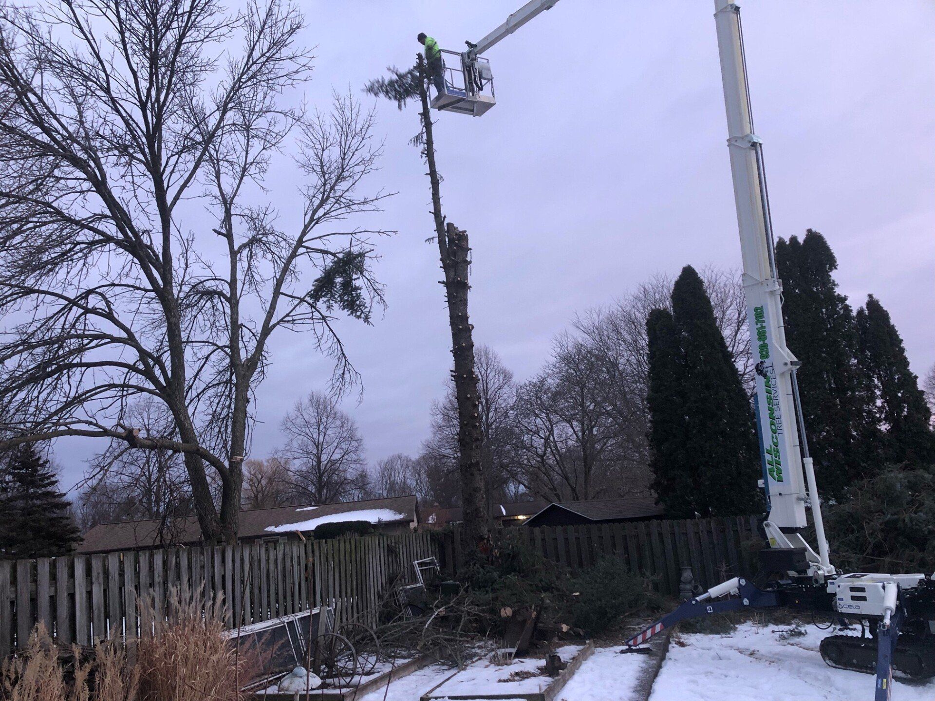 Tree Service De Pere | Green Bay | All WI Tree Services LLC