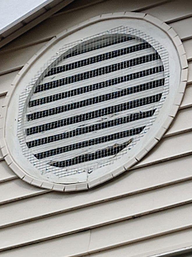 Nuisance Bird Eviction and Exclusion | Central Ohio