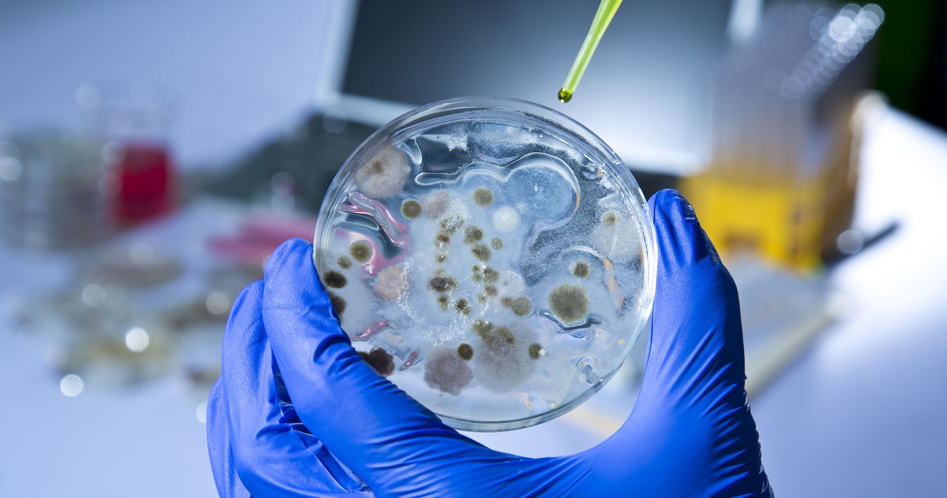 Laboratory Services | Apex Research Inc | Brighton, MI