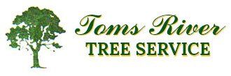 Tree Service Toms River, NJ | Toms River Tree Service. Tree Removal