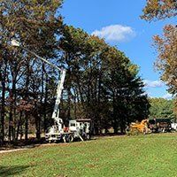 Tree Service Toms River, NJ | Toms River Tree Service