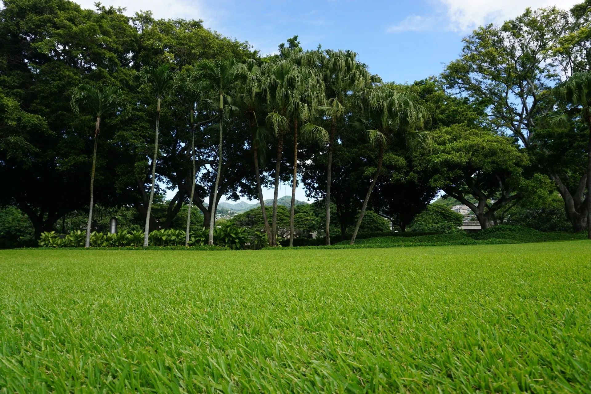 FAQs | Commercial Landscaping | Oahu & Maui
