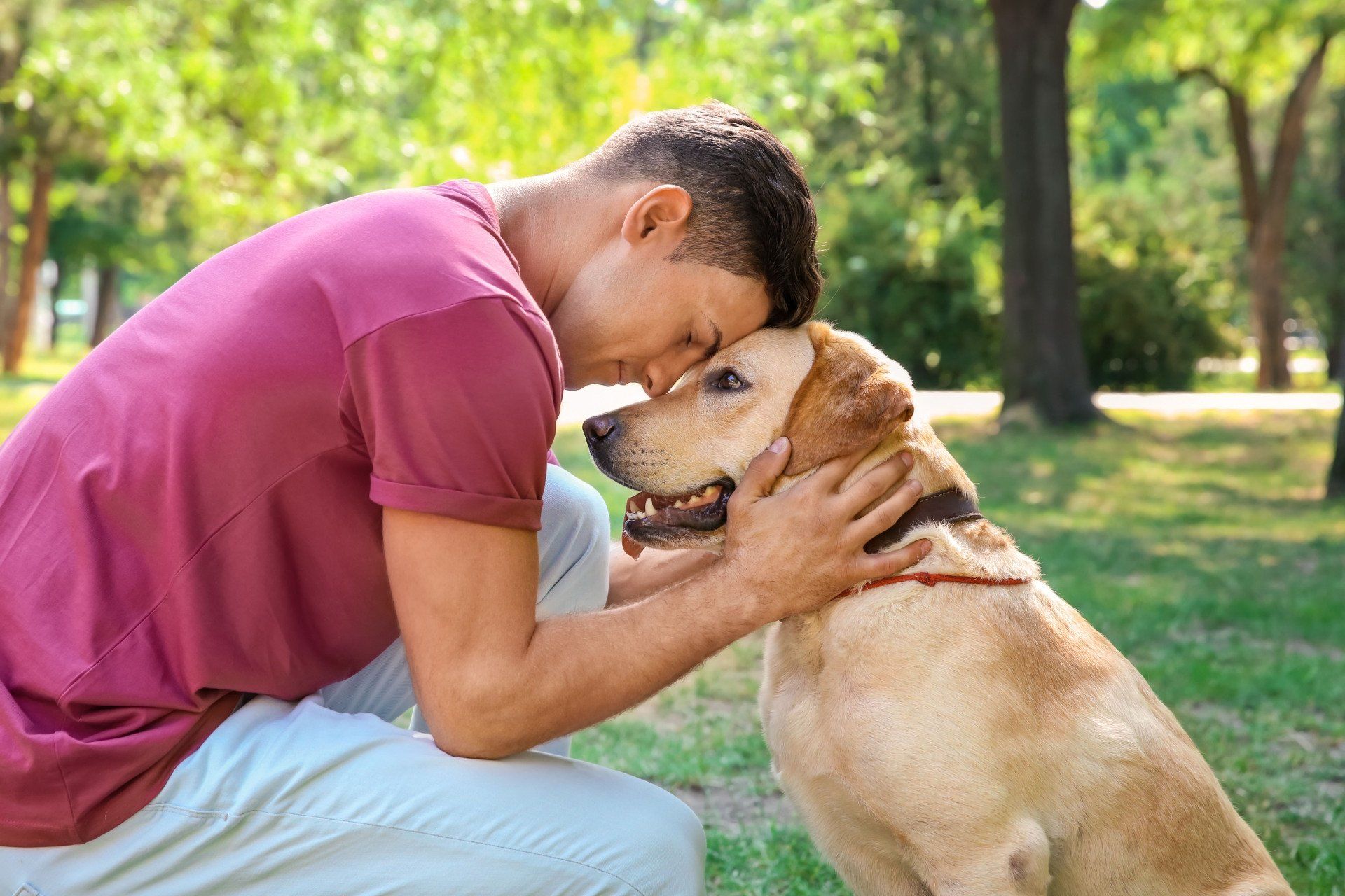Interesting Facts You Should Know About Household Pets