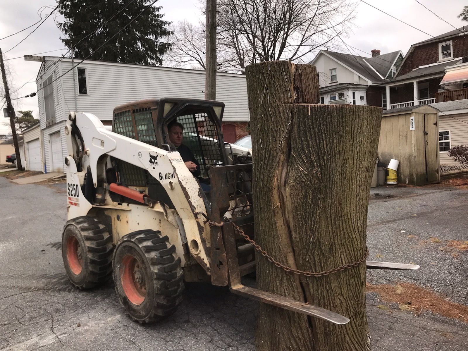 Tree Removal Service Bethlehem | Nick's Custom Tree Service