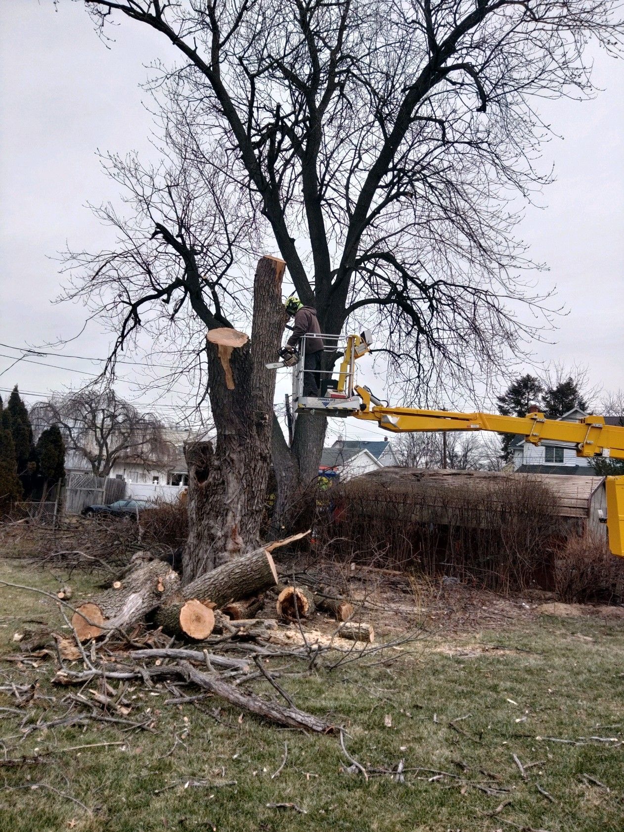 Tree Removal Service Bethlehem | Nick's Custom Tree Service