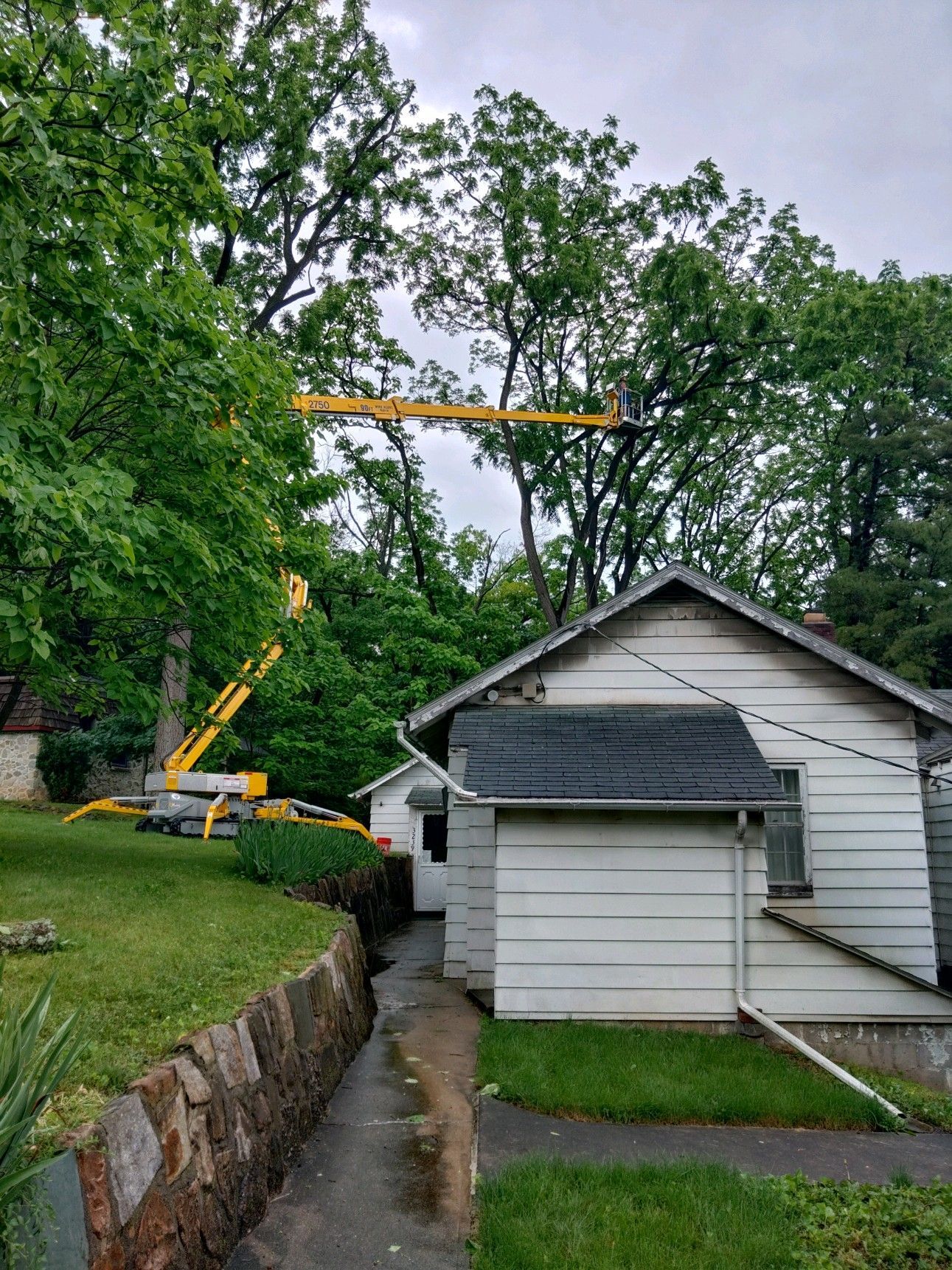 Tree Removal Service Bethlehem | Nick's Custom Tree Service