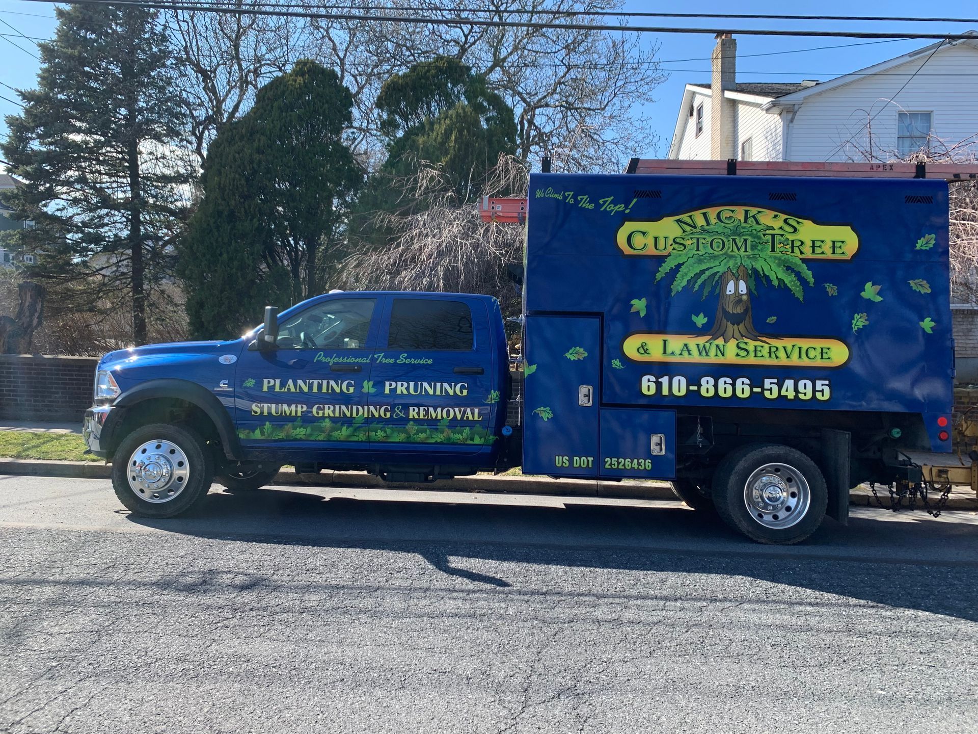 Tree Removal Service Bethlehem | Nick's Custom Tree Service