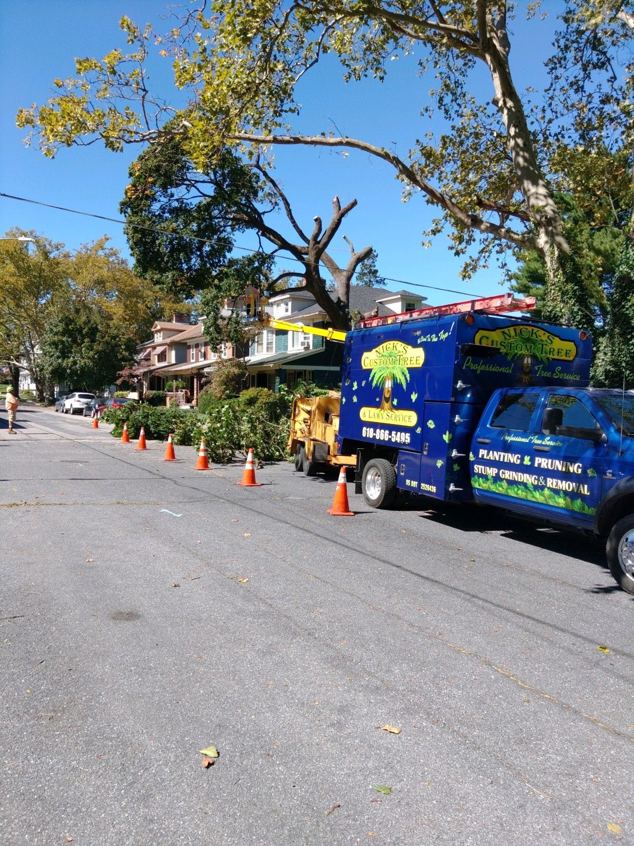 Tree Removal Service Bethlehem | Nick's Custom Tree Service