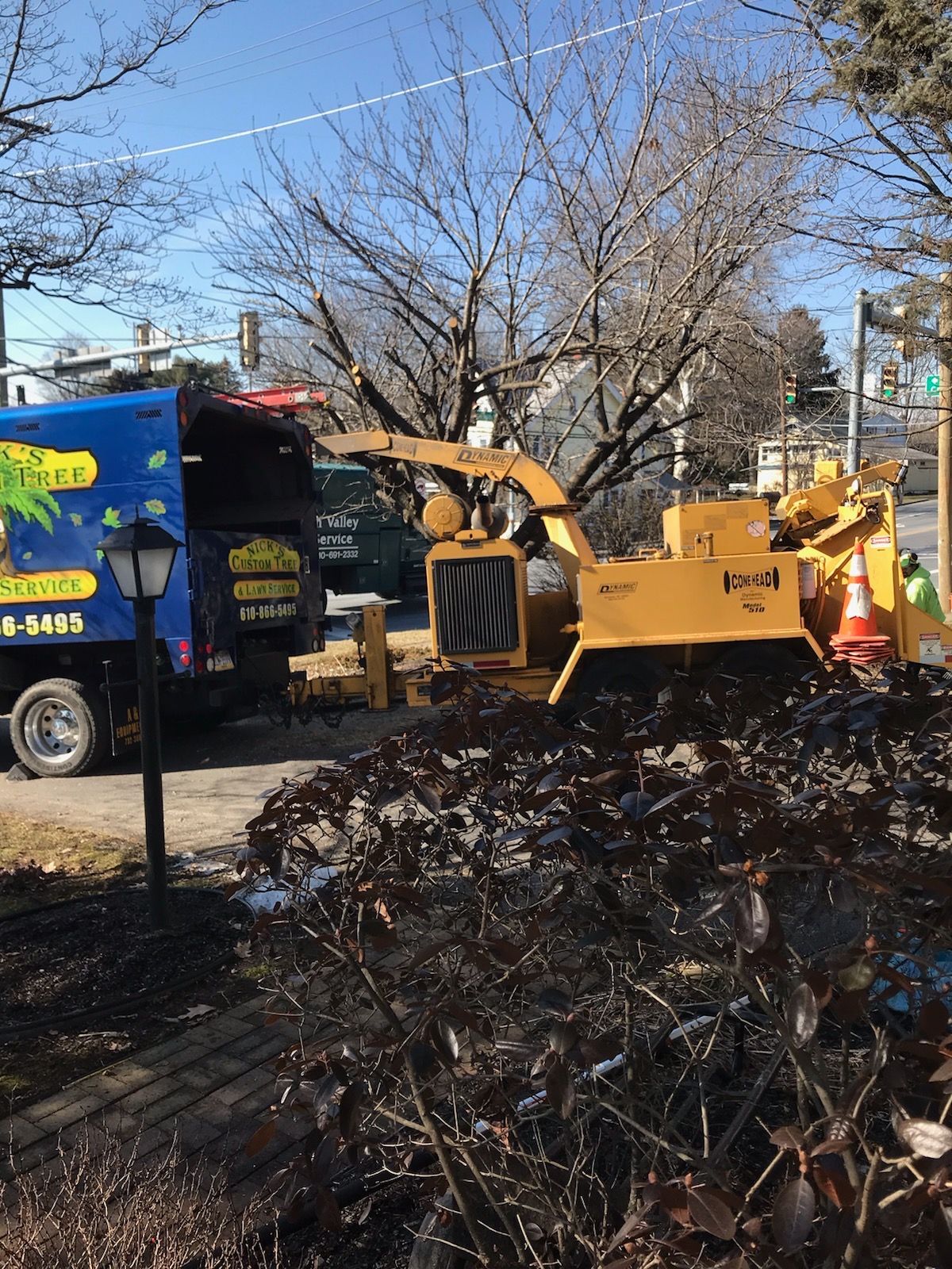 Tree Removal Service Bethlehem | Nick's Custom Tree Service