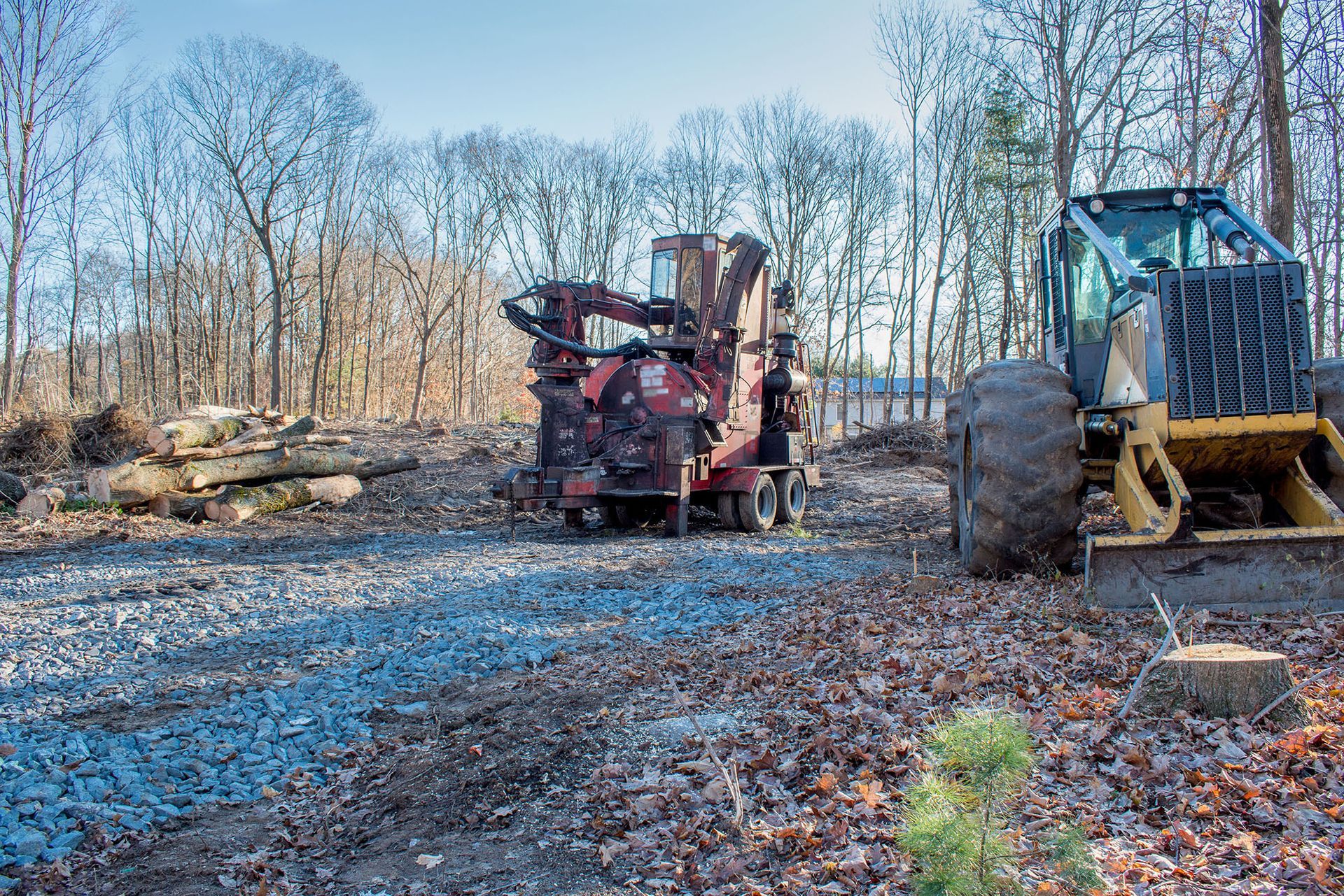 Tree Removal Service Bethlehem | Nick's Custom Tree Service