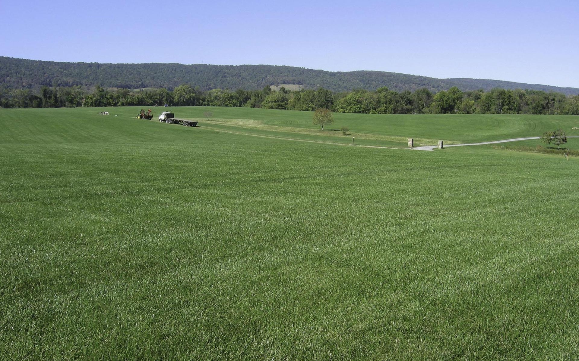 Lawn Round Hill, VA | Premier Turf Farms