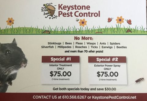Keystone Pest Control | Pest Removal | Reading, PA