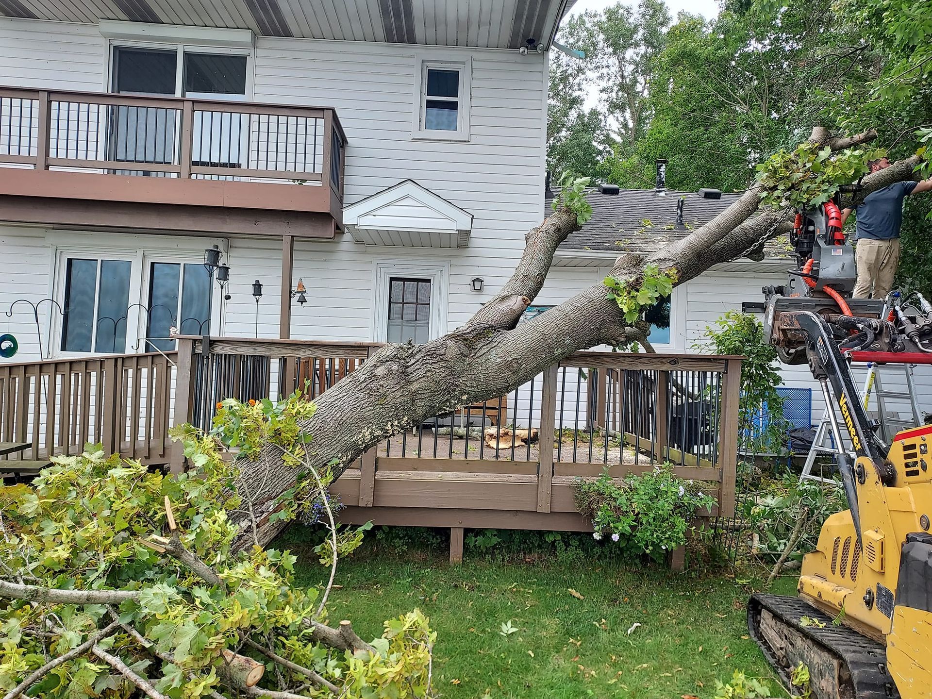 Tree Removal - Storm Damage Jackson, MI | Total Tree Enterprise