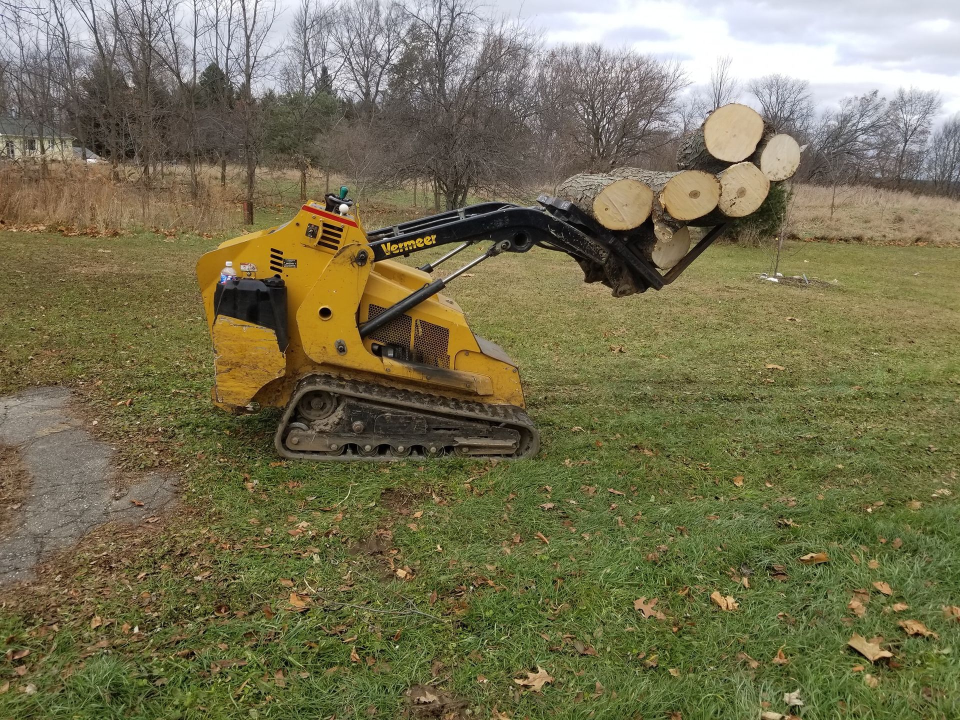 Tree Service Jackson, MI | Total Tree Enterprise