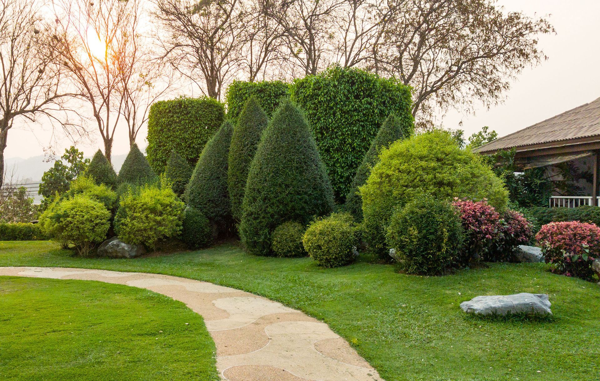 Tree Upkeep | Clyde's Tree Service, LLC | Indianapolis, IN