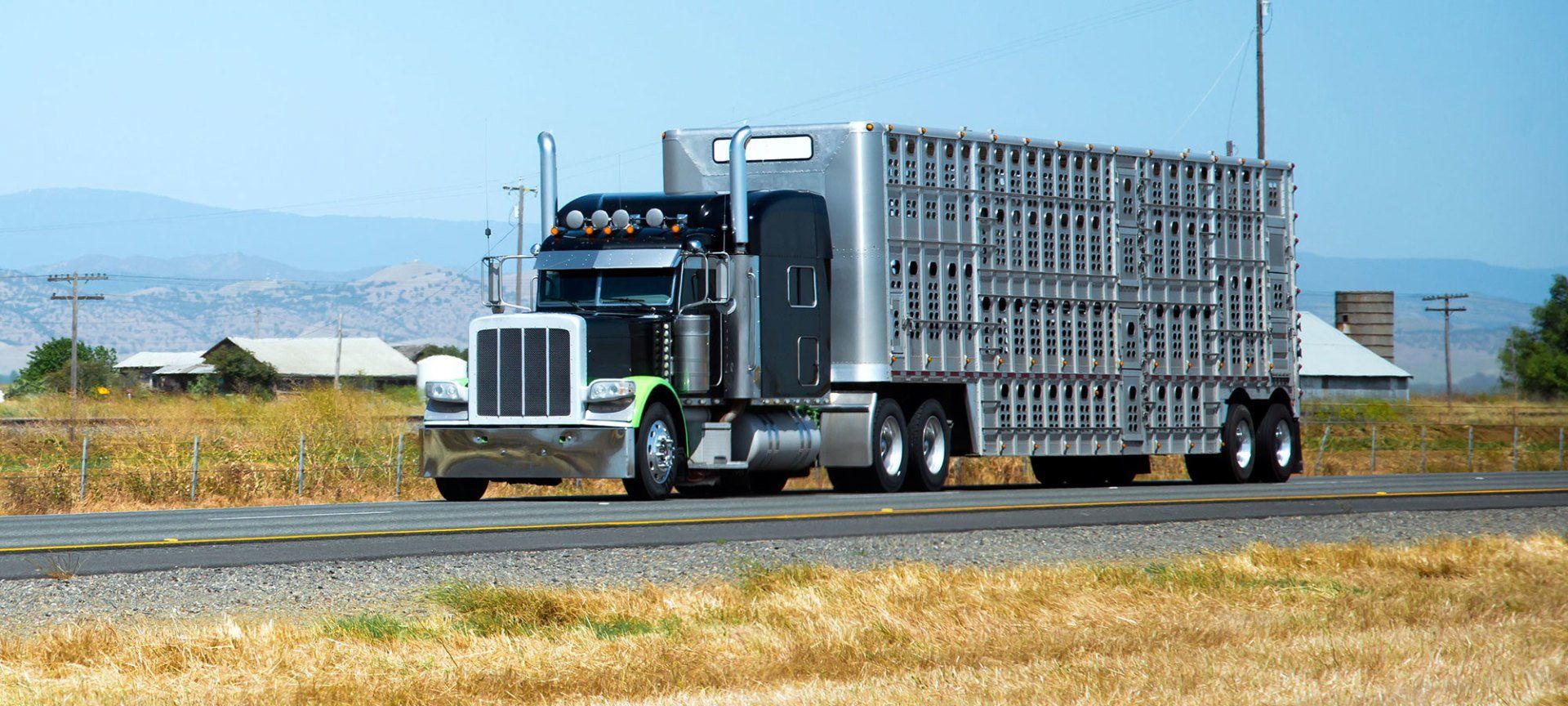 Wagner Transportation Co | Cargo Trailers | Twin Falls, ID