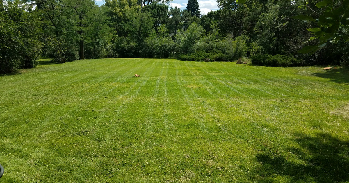Lawn Care | Colorado Springs, CO