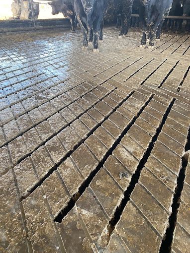 Grooving Gallery | P & D Barn Floor Grooving LLC