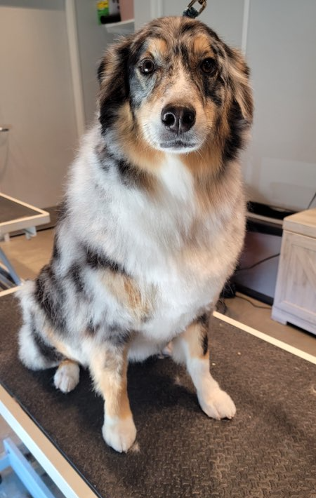 Sit Stay Spa Fargo Photo Gallery | West Fargo, ND