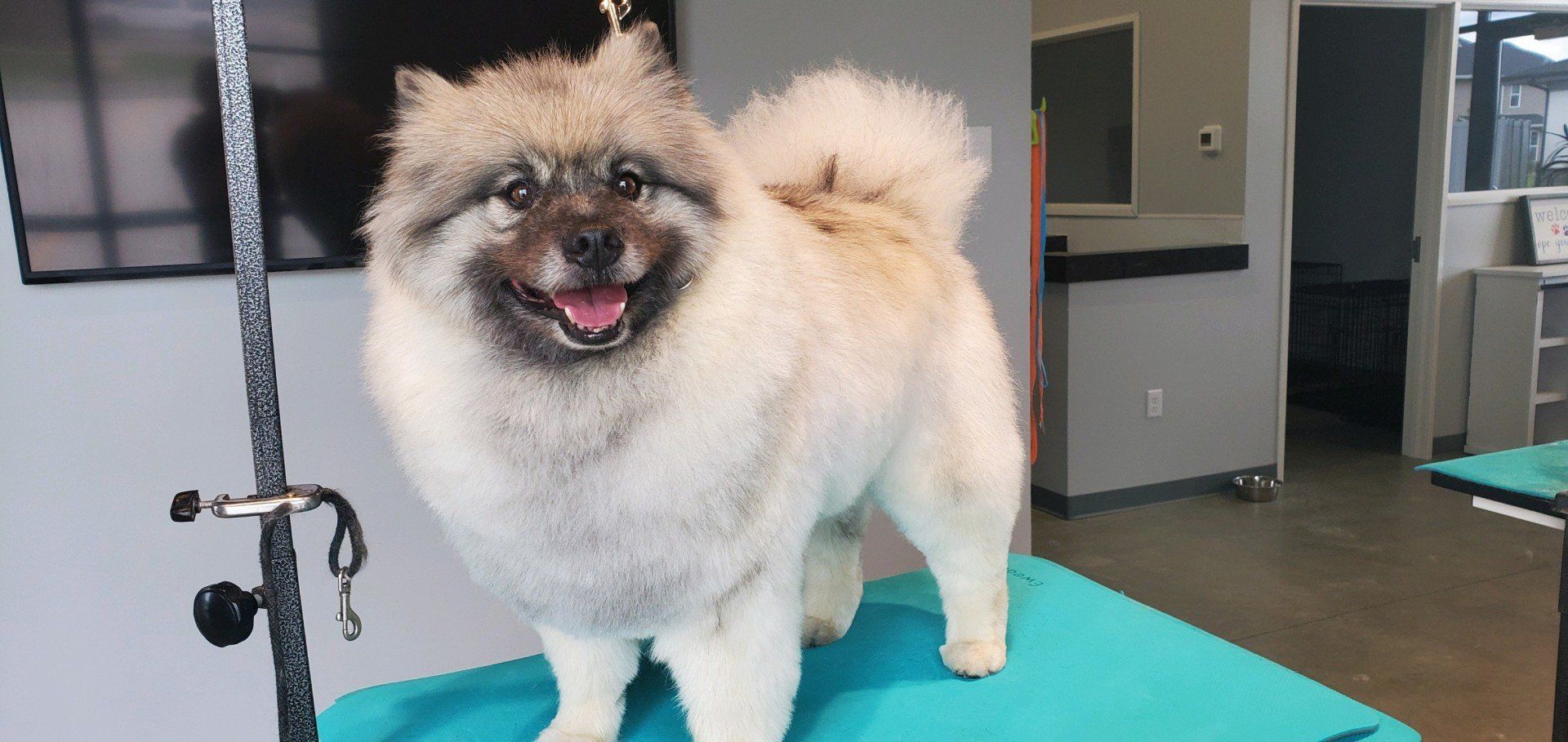 Sit Stay Spa Fargo Photo Gallery | West Fargo, ND