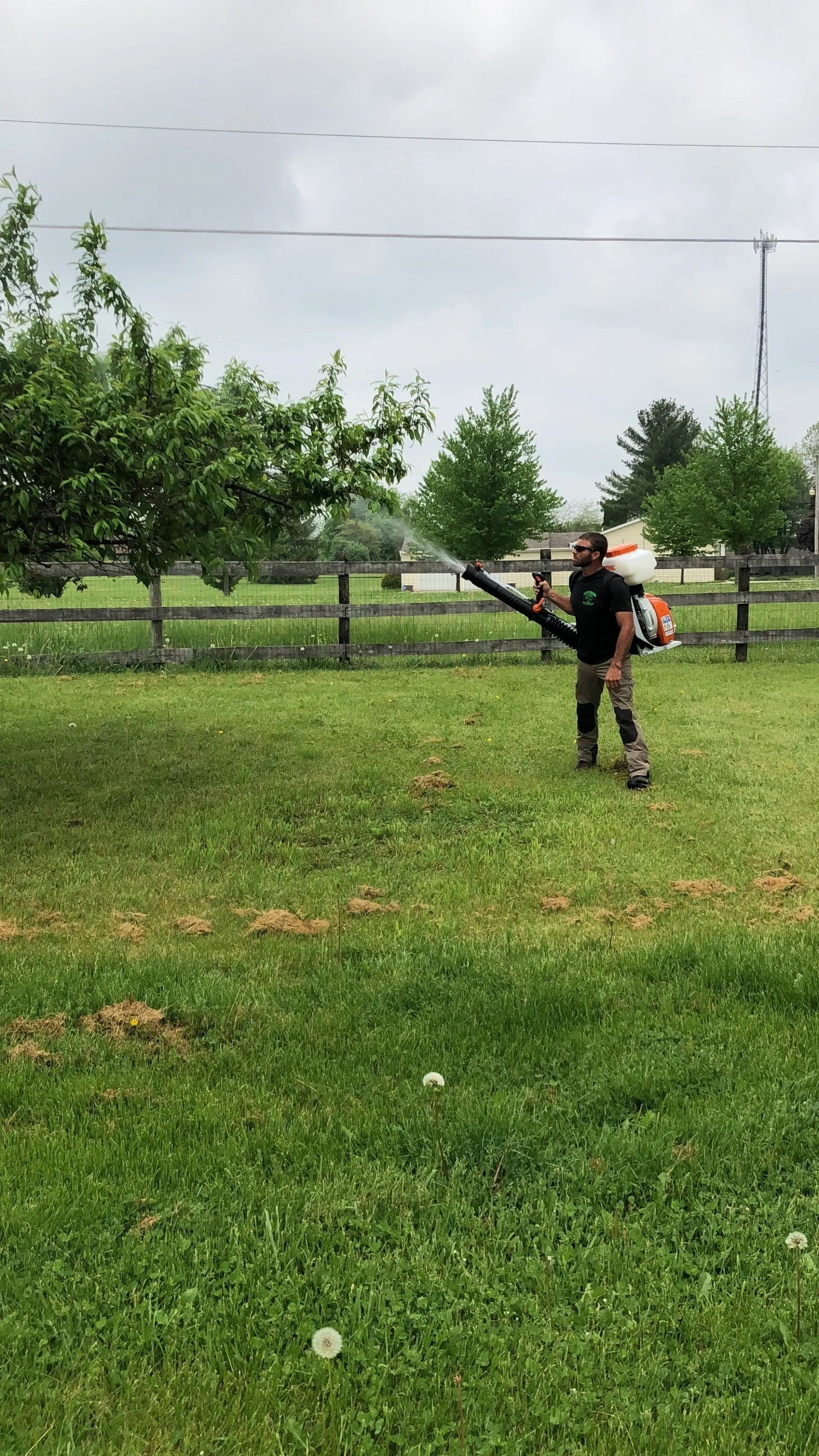 Certified Arborist in Springfield, OH | Huffman Tree Company