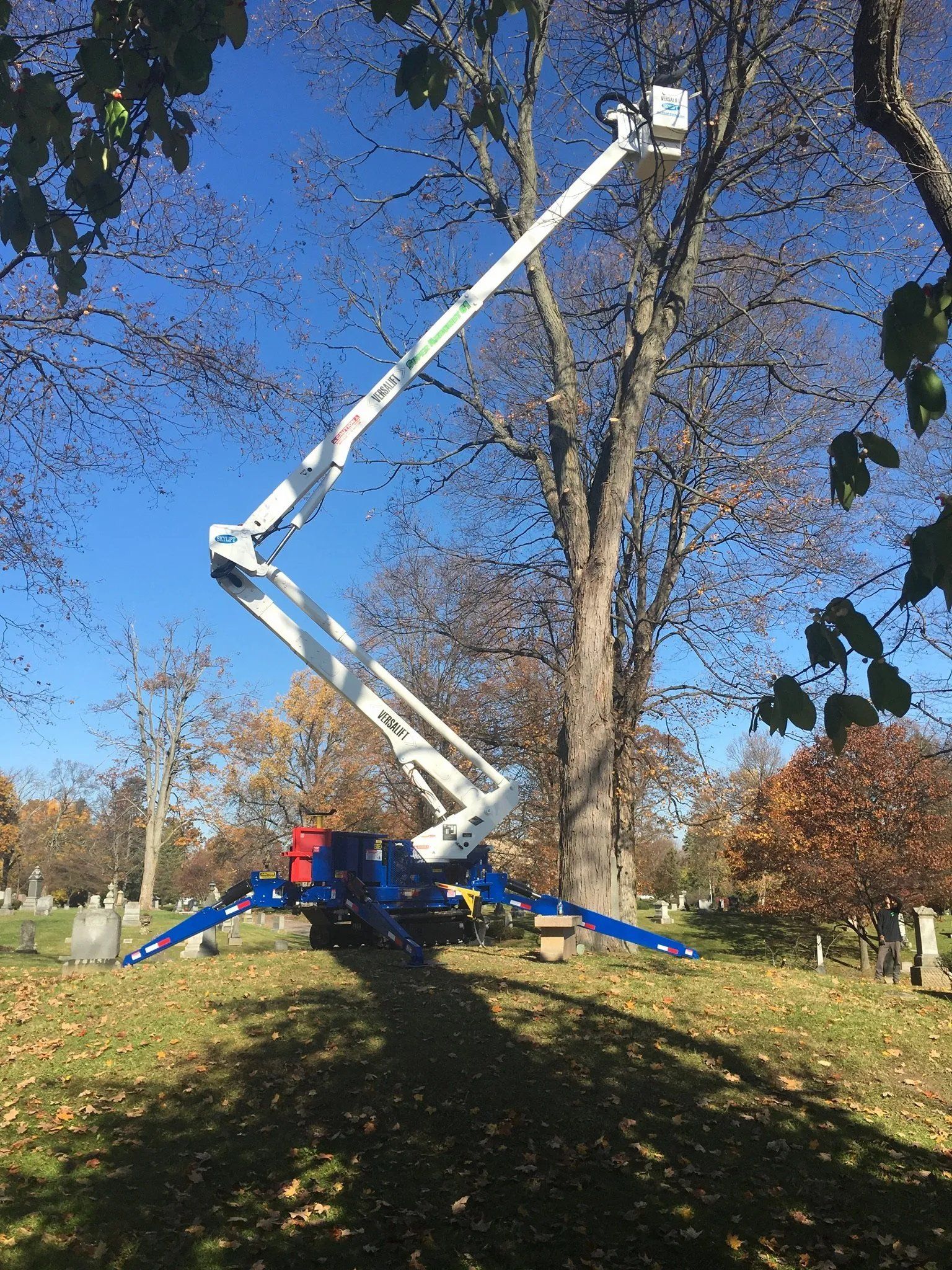 Certified Arborist in Springfield, OH | Huffman Tree Company