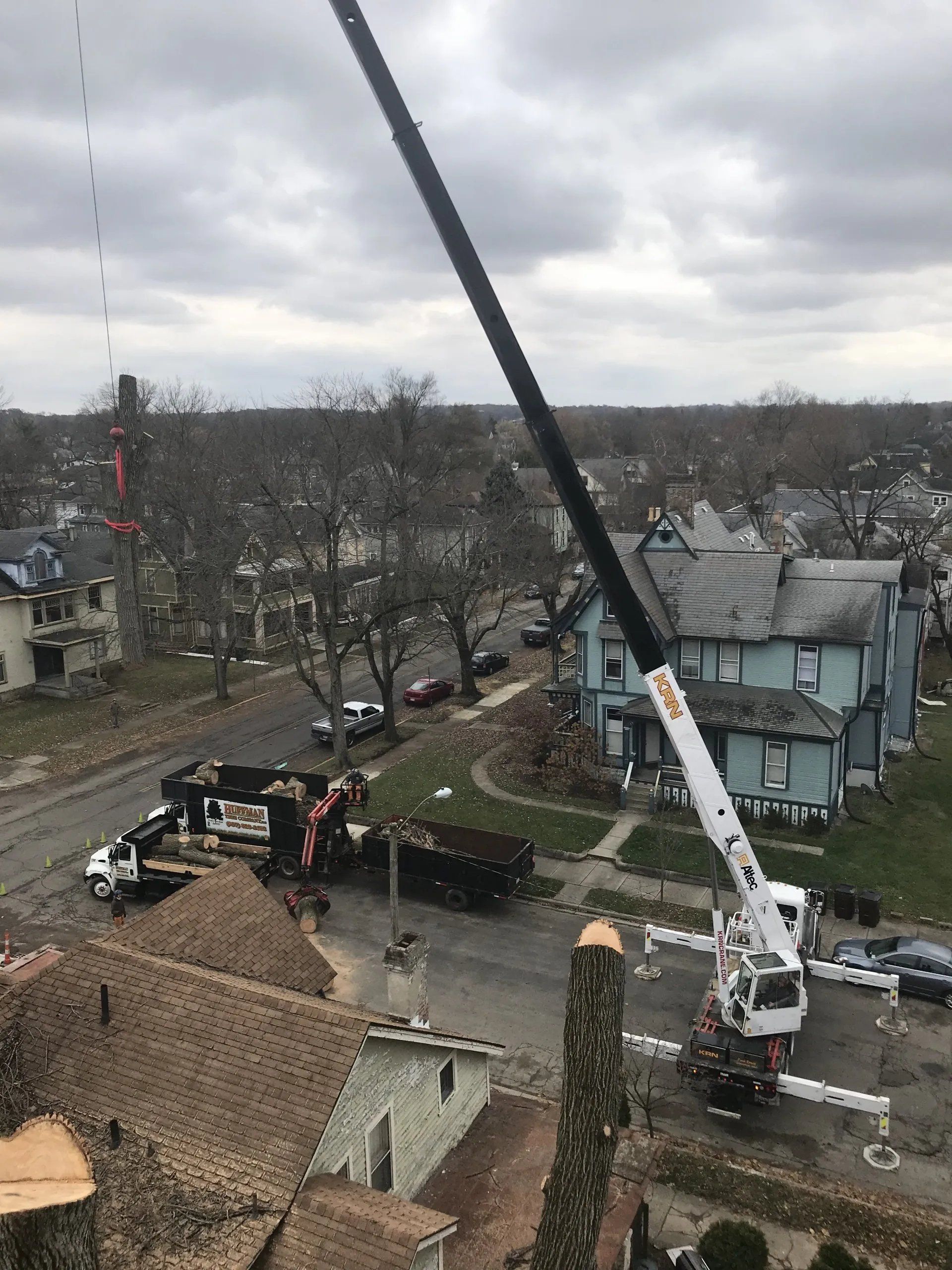 Certified Arborist in Springfield, OH | Huffman Tree Company