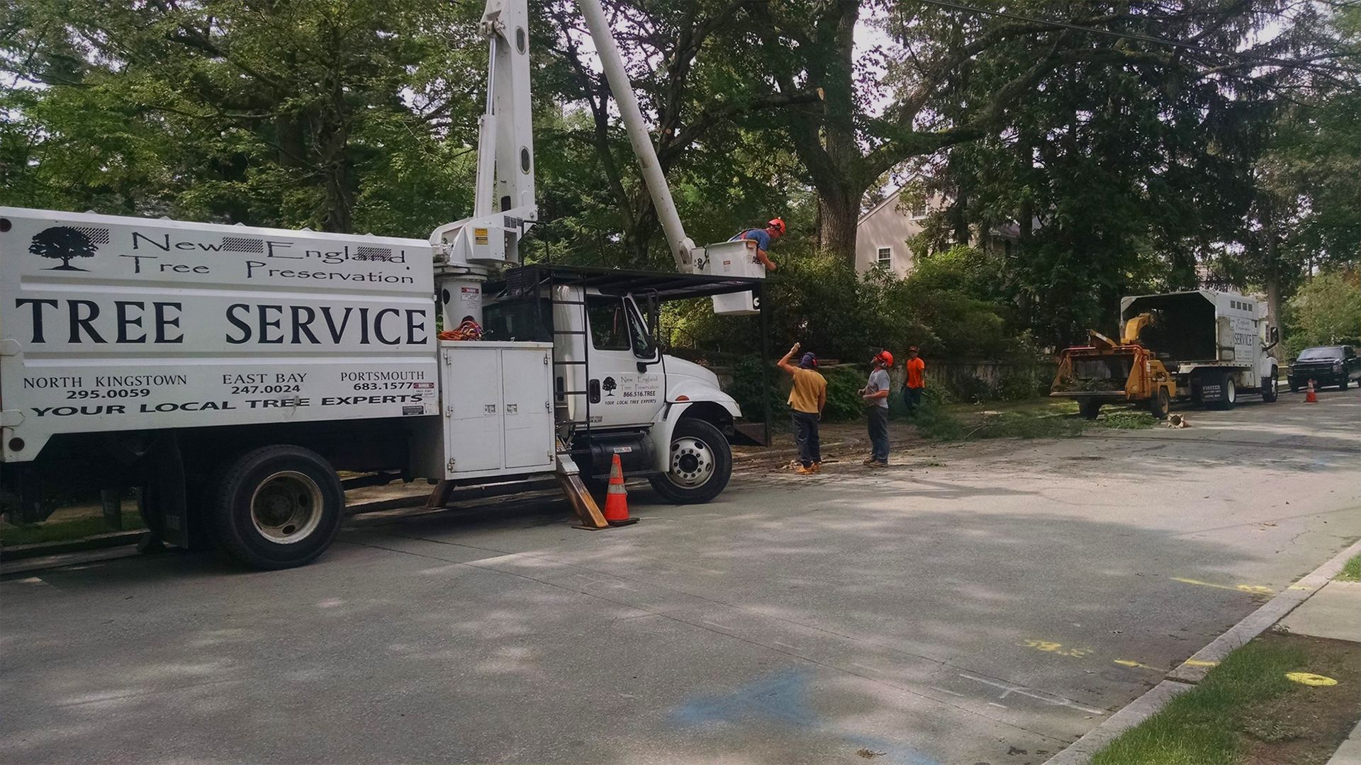 Tree Removal Newport, RI | Portsmouth, RI