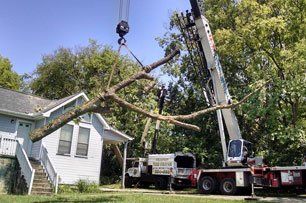 Bradley Tree Service and Excavating Inc | Tree Pruning | Charleston, TN