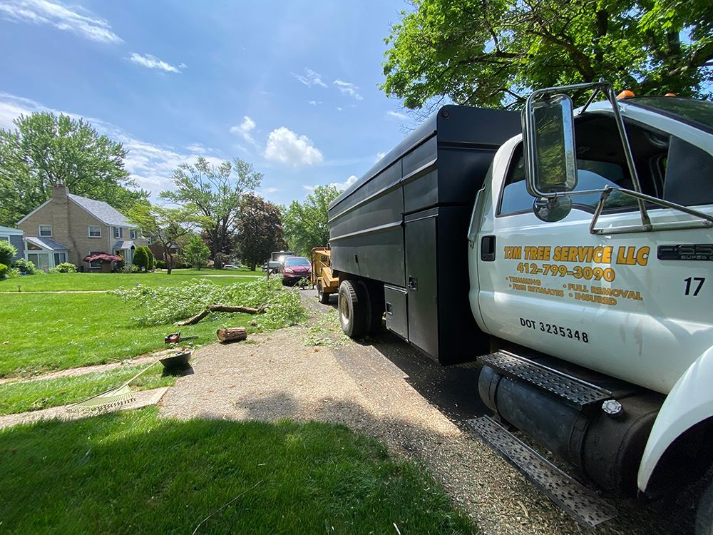 About | Tree Service & Landscape Design