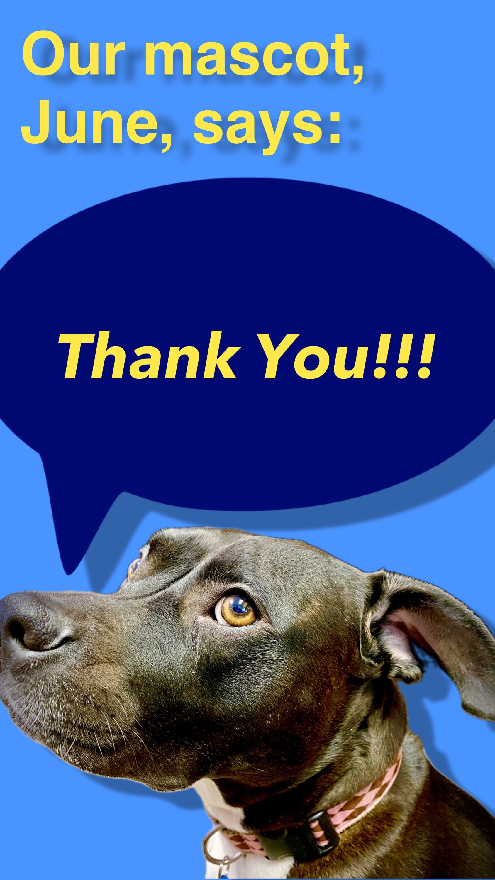 AC Installation Naples, FL | Gulfstar Services Inc