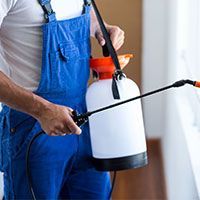 Residential Pest Control Services | Louisville, KY