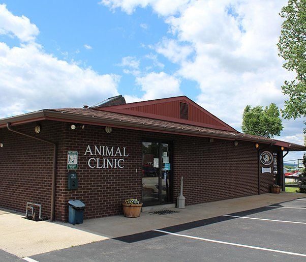 Meet The Doctors | Latrobe Animal Clinic