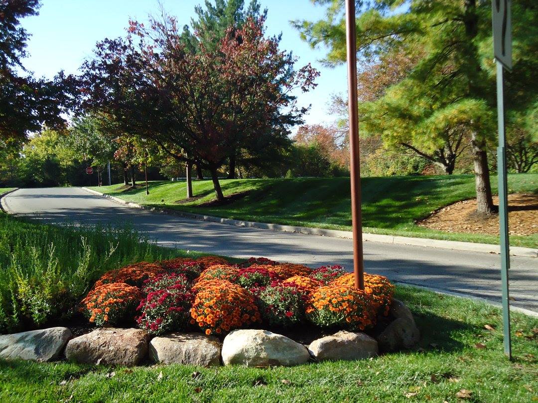 Community Green Landscape Group | Lawn Care | Loveland