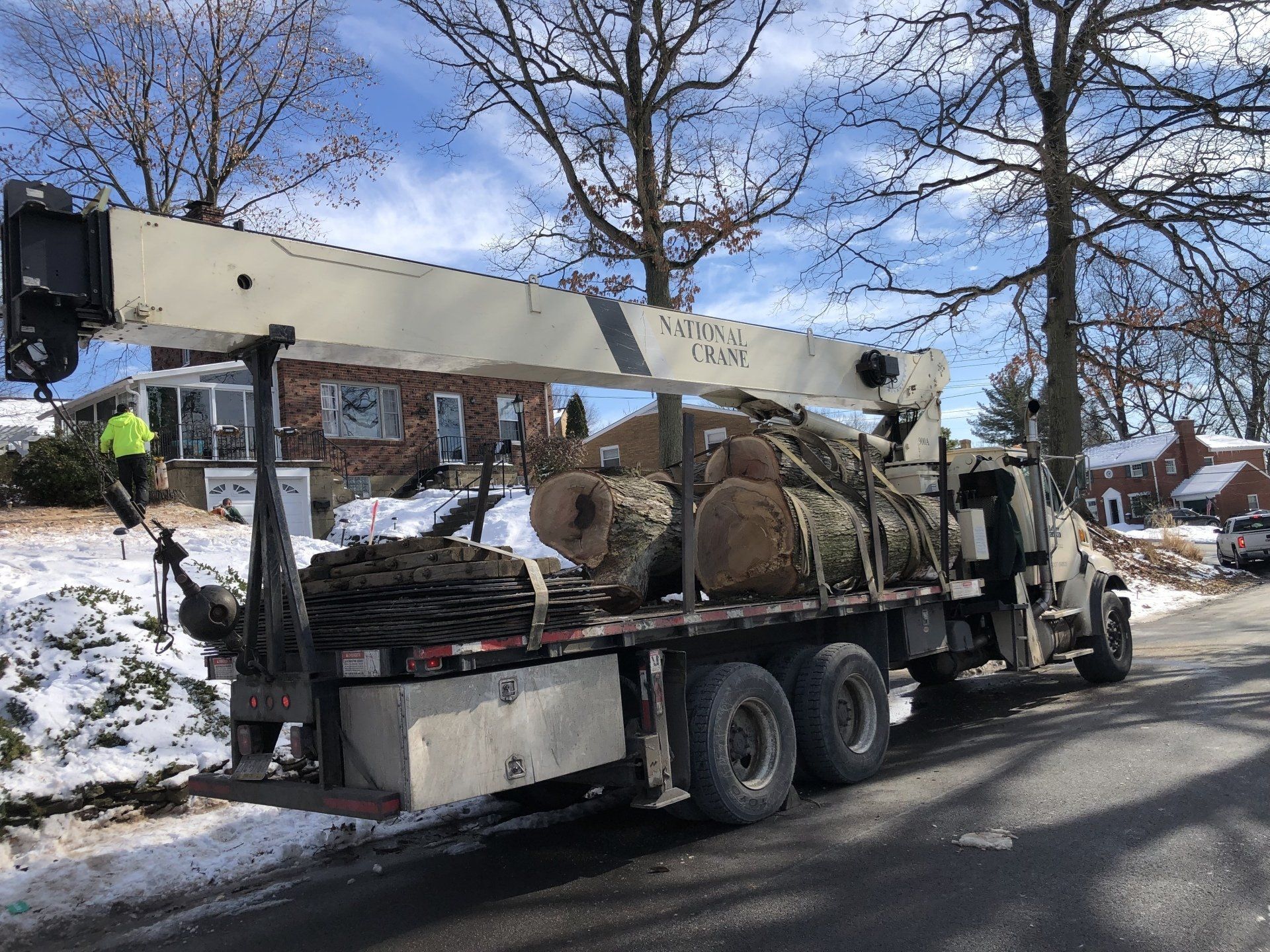 Photo Gallery | Adler Tree Service