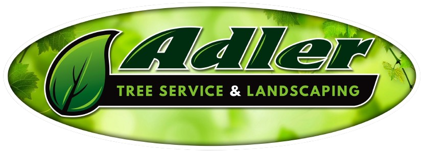 Landscaping Pittsburgh, PA | Adler Tree Service