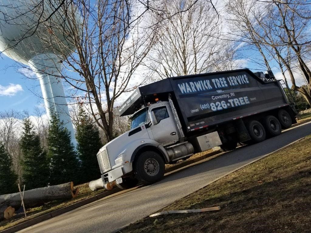 Warwick Tree Service Inc | Land Clearing | Coventry, RI