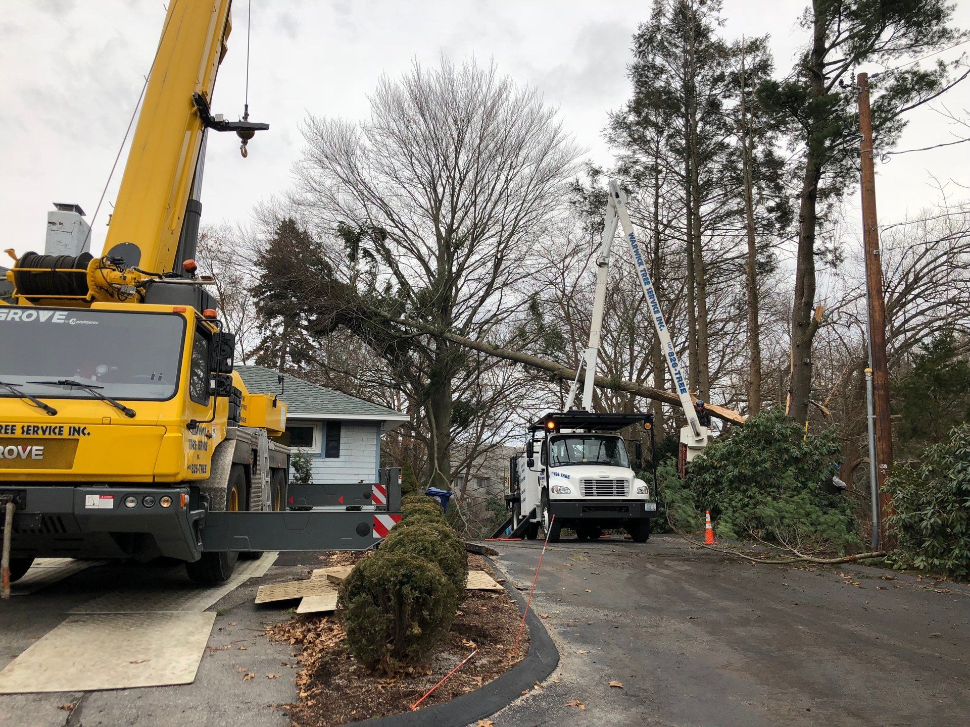Warwick Tree Service Inc | Land Clearing | Coventry, RI