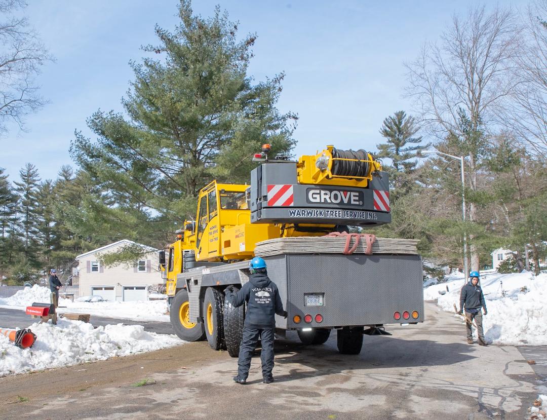 Warwick Tree Service Inc | Land Clearing | Coventry, RI