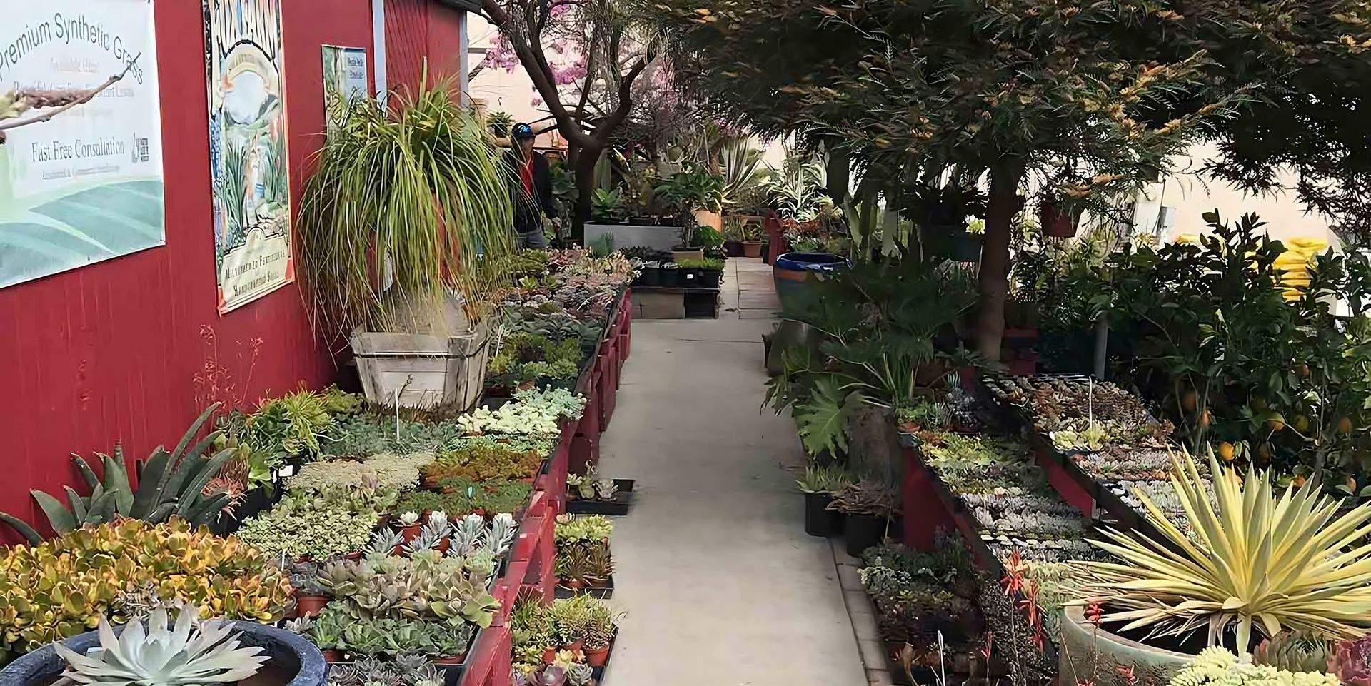 Contact Deep Roots Garden Center | Torrance, CA