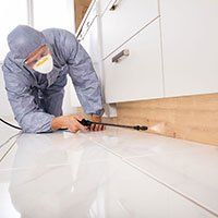 Mantis Pest Control LLC | Exterminator, Mosquito Spray | Lowell, MA