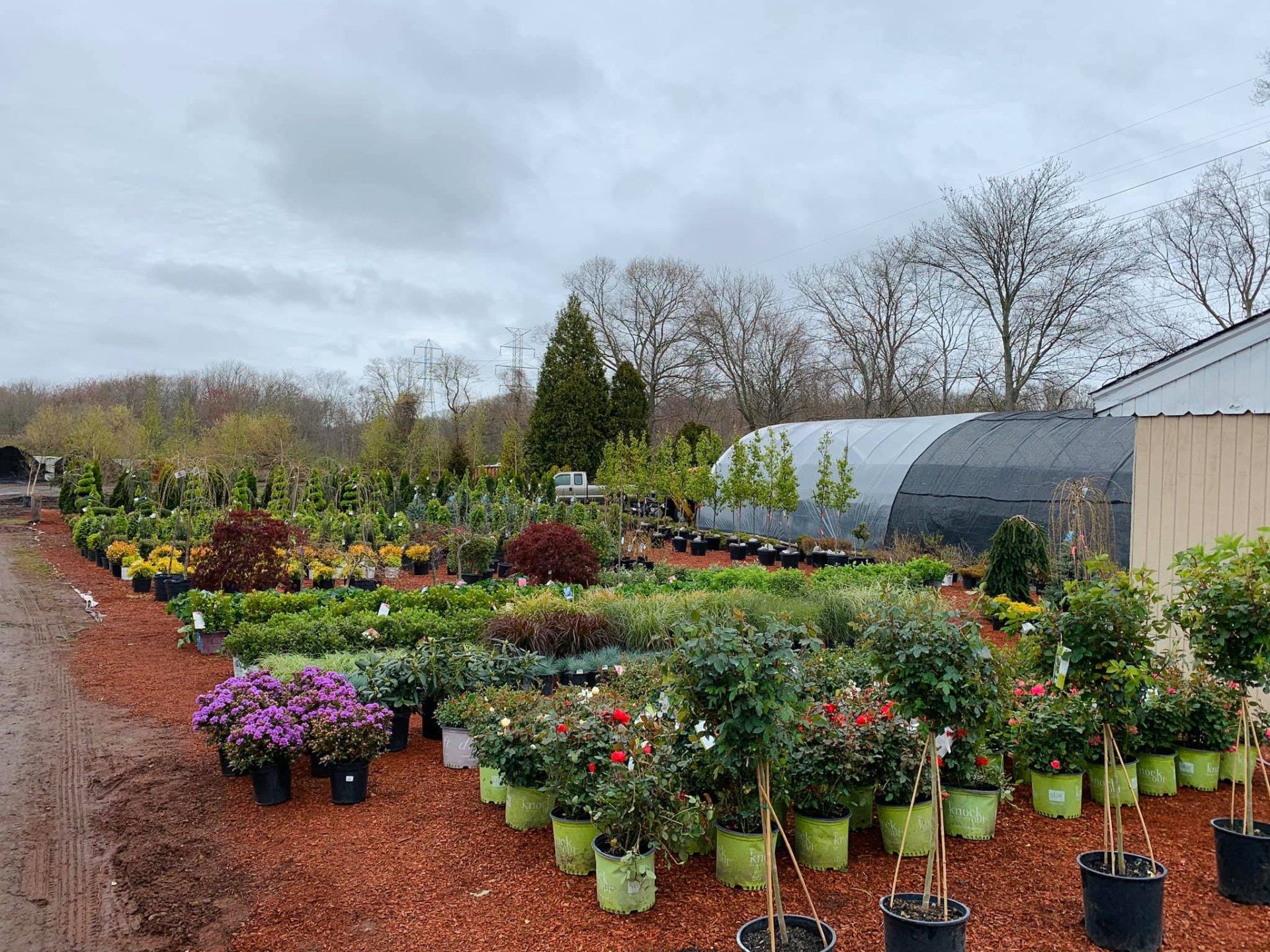 Swansea Nursery & Landscaping Supplies | Plants | Swansea MA