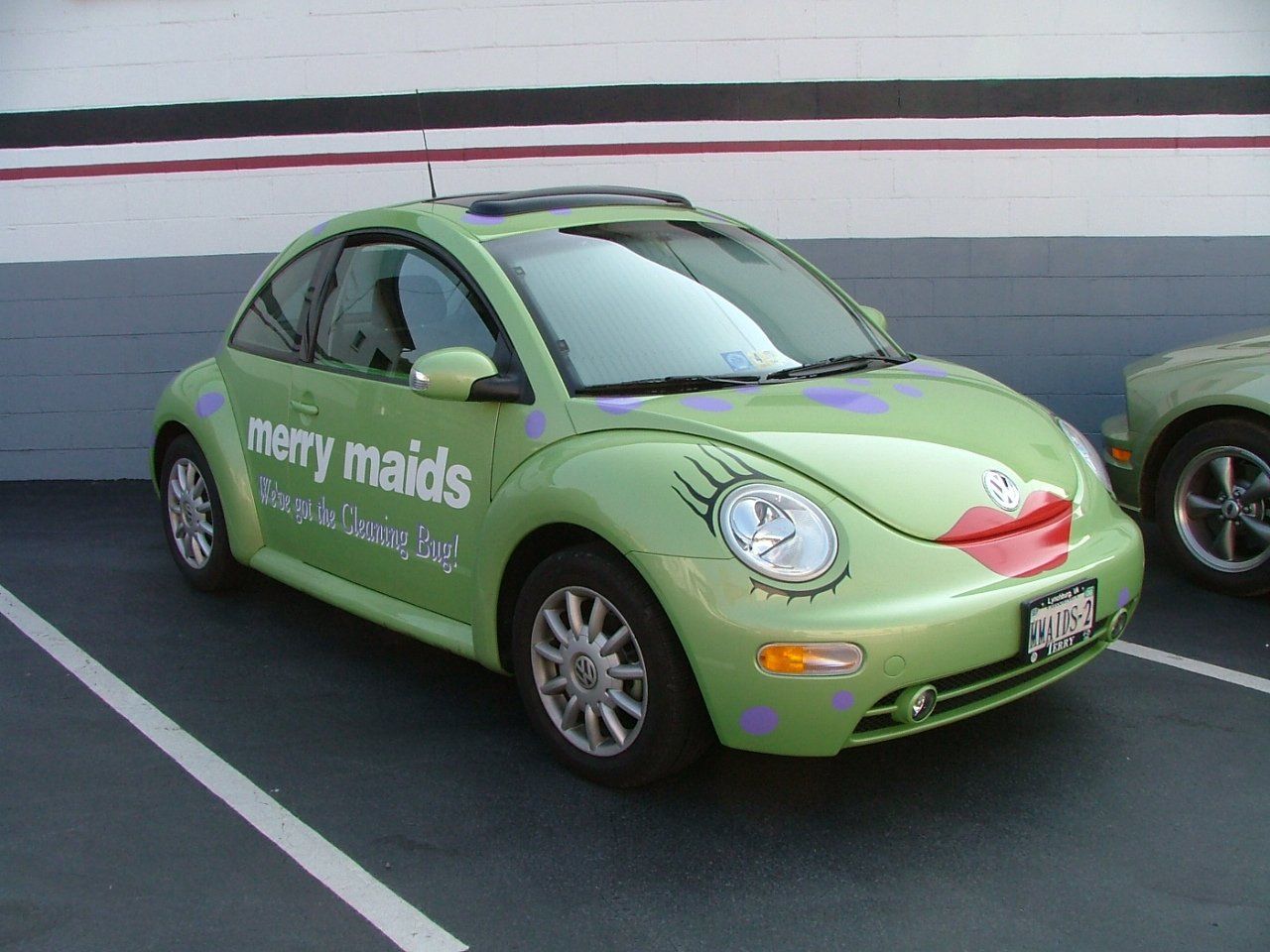 Auto Lettering and Signs | Lynchburg, VA