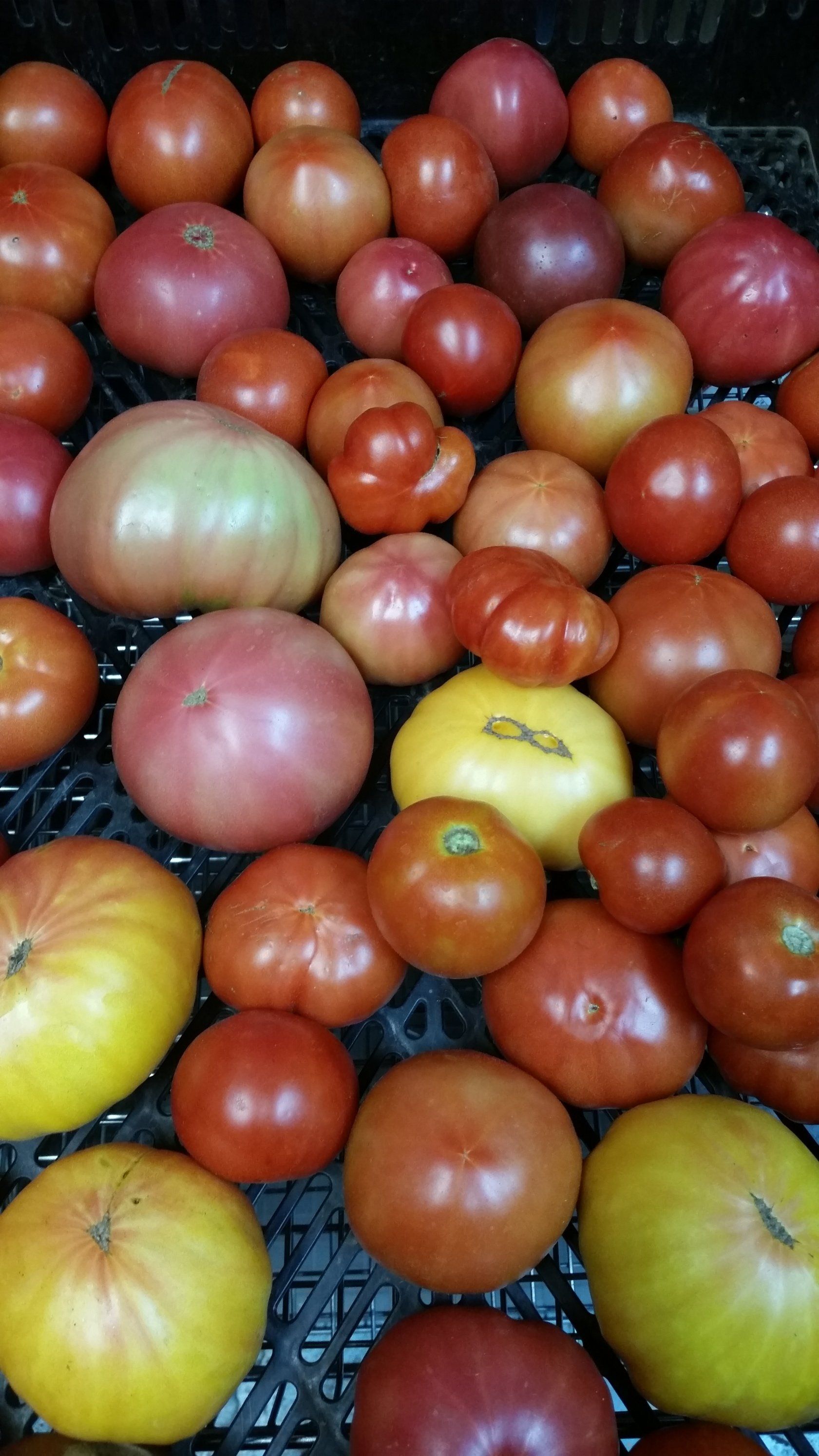 Produce | Vegetables | Springfield, IL