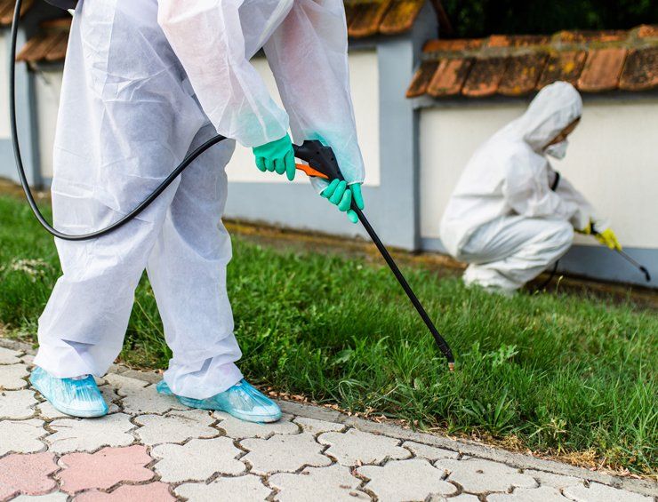 Focus Pest Management | Pest Control | Woodstock, GA
