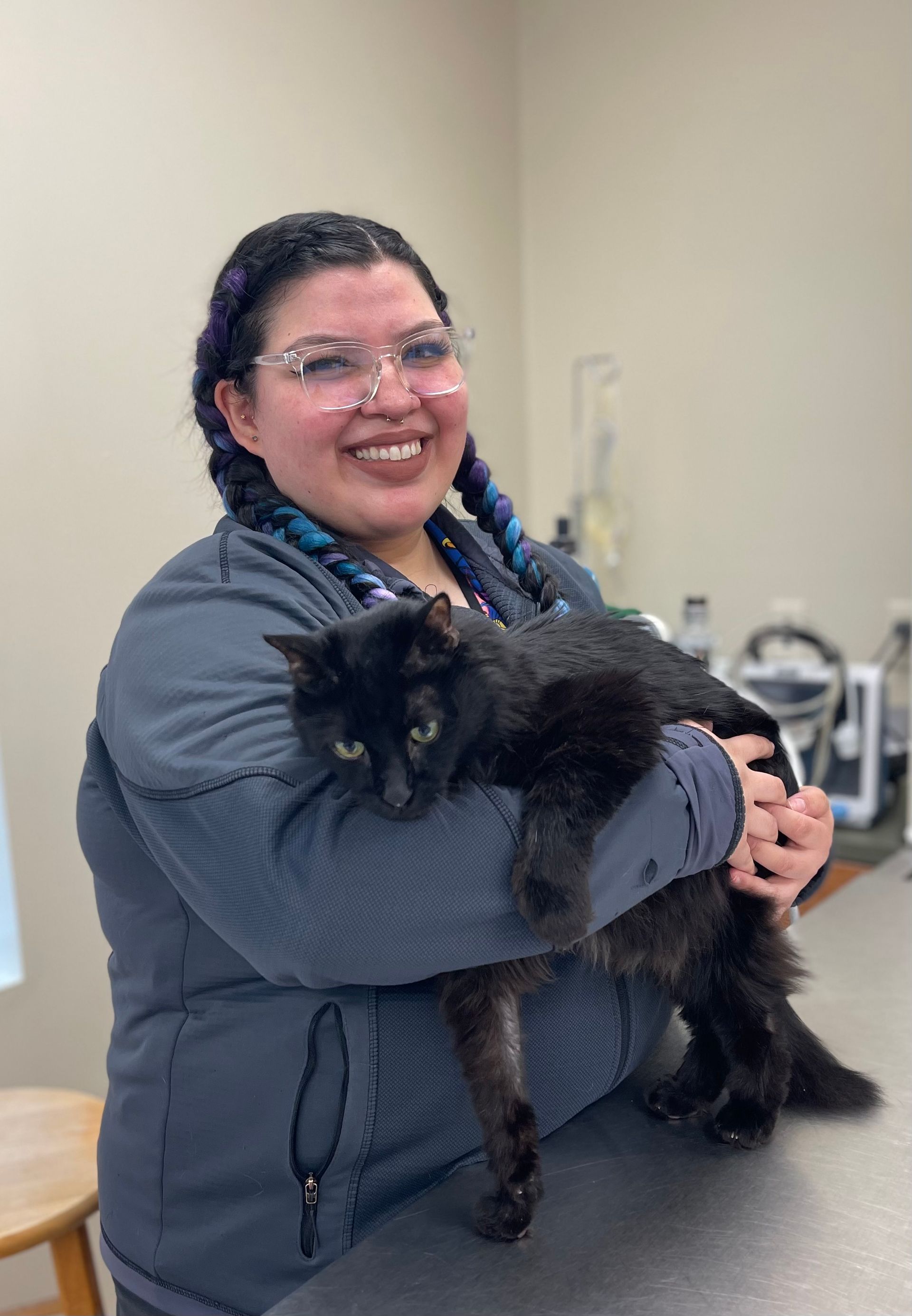 >Meet our Team At Hayfield Animal Hospital - Veterinary Doctor ...