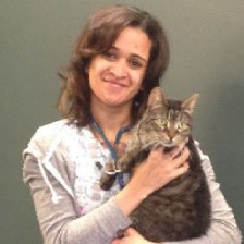 >Meet our Team At Hayfield Animal Hospital - Veterinary Doctor ...