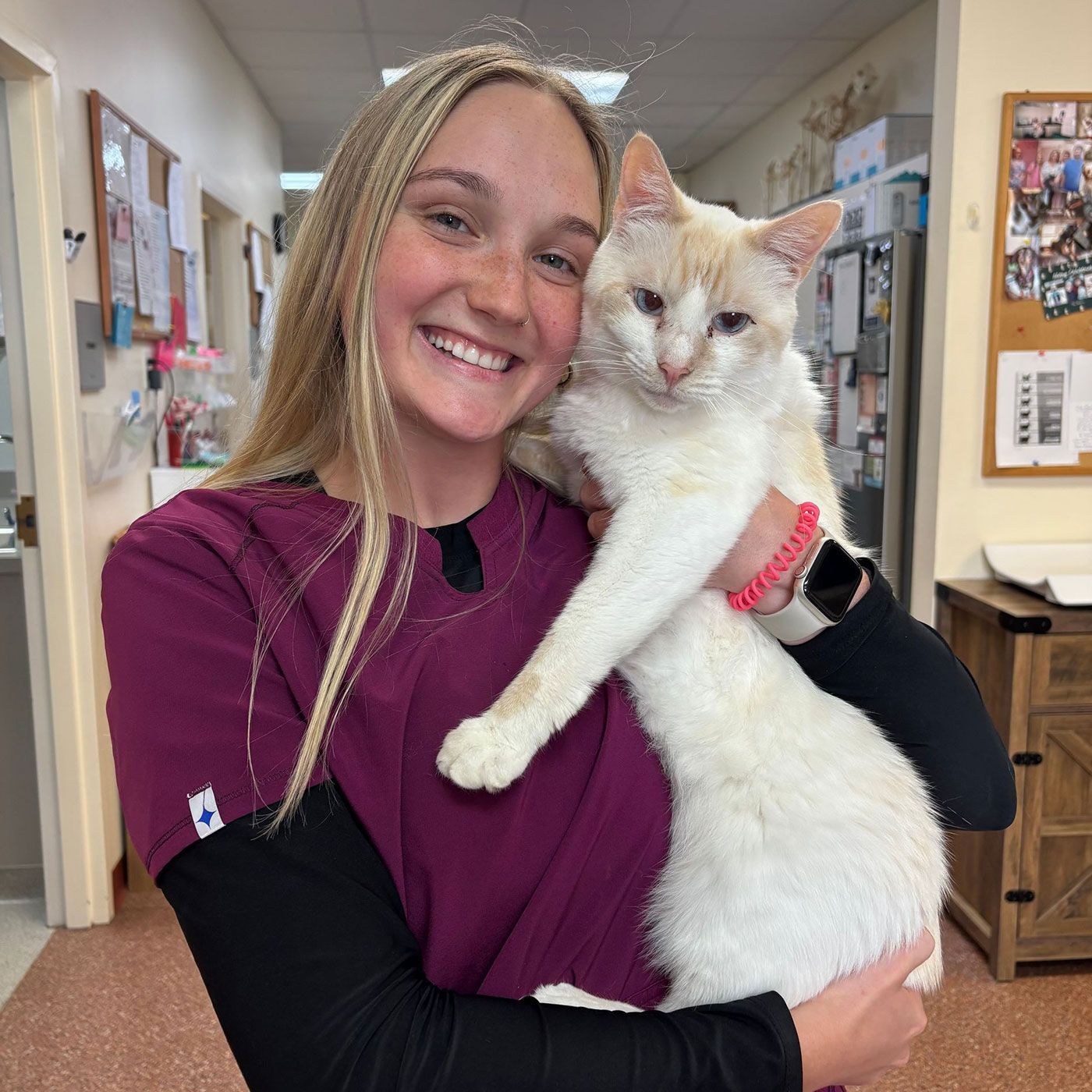 Murfreesboro Animal Clinic Doctors | Murfreesboro, TN