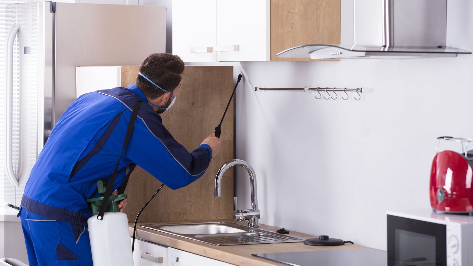 Termite Control | Columbus, GA