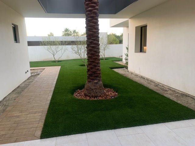 Project Gallery | Vision Turf & Lighting